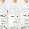 Homemade Kahlua Labels, Homemade Gifts, Shipped to Doorstep - Etsy