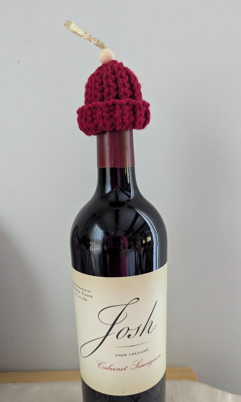 Crochet Mini Winter Ski Hat: Handmade Rustic Christmas Tree Ornaments ...