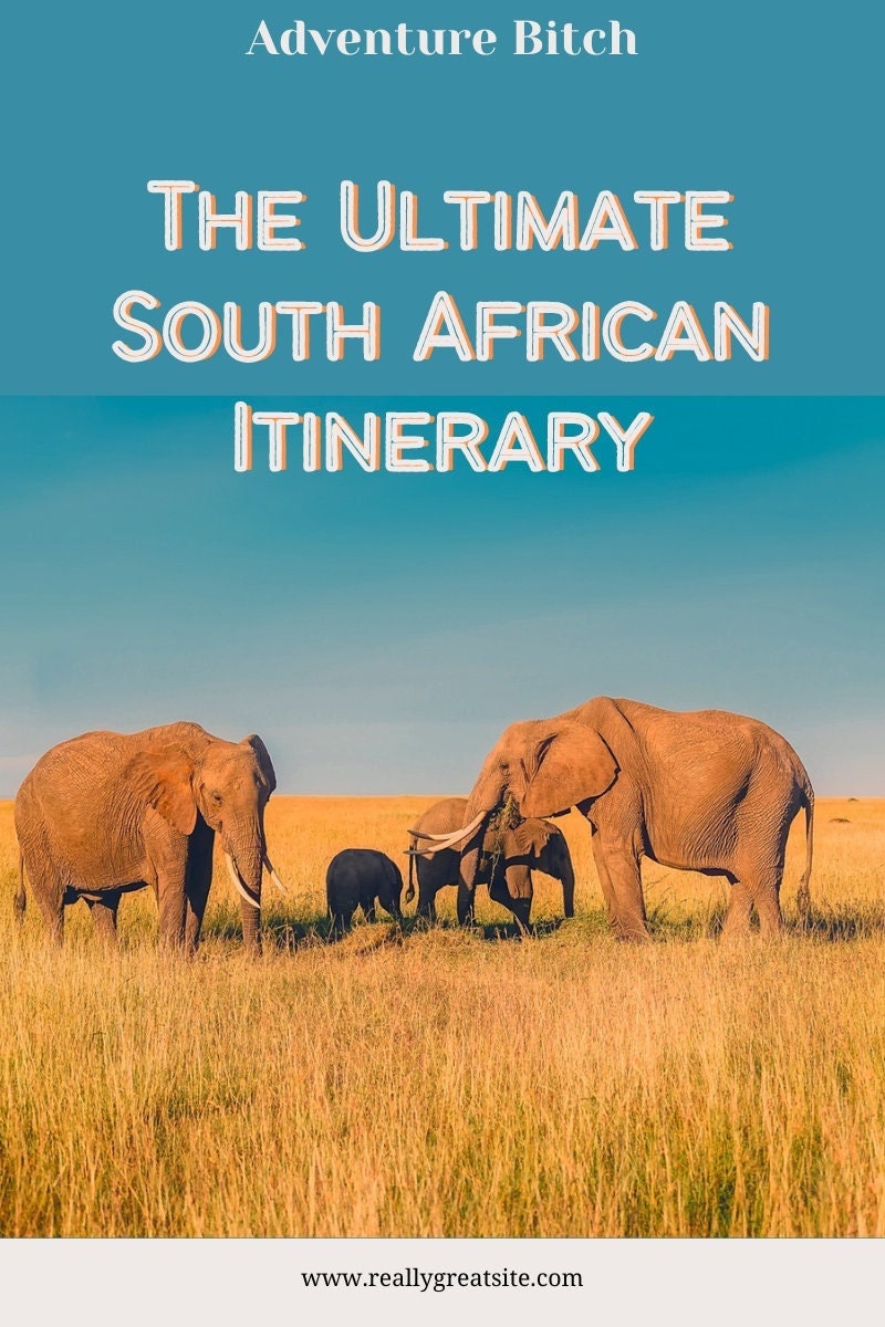 The Ultimate South African Itinerary - Cliff Notes Style - Etsy