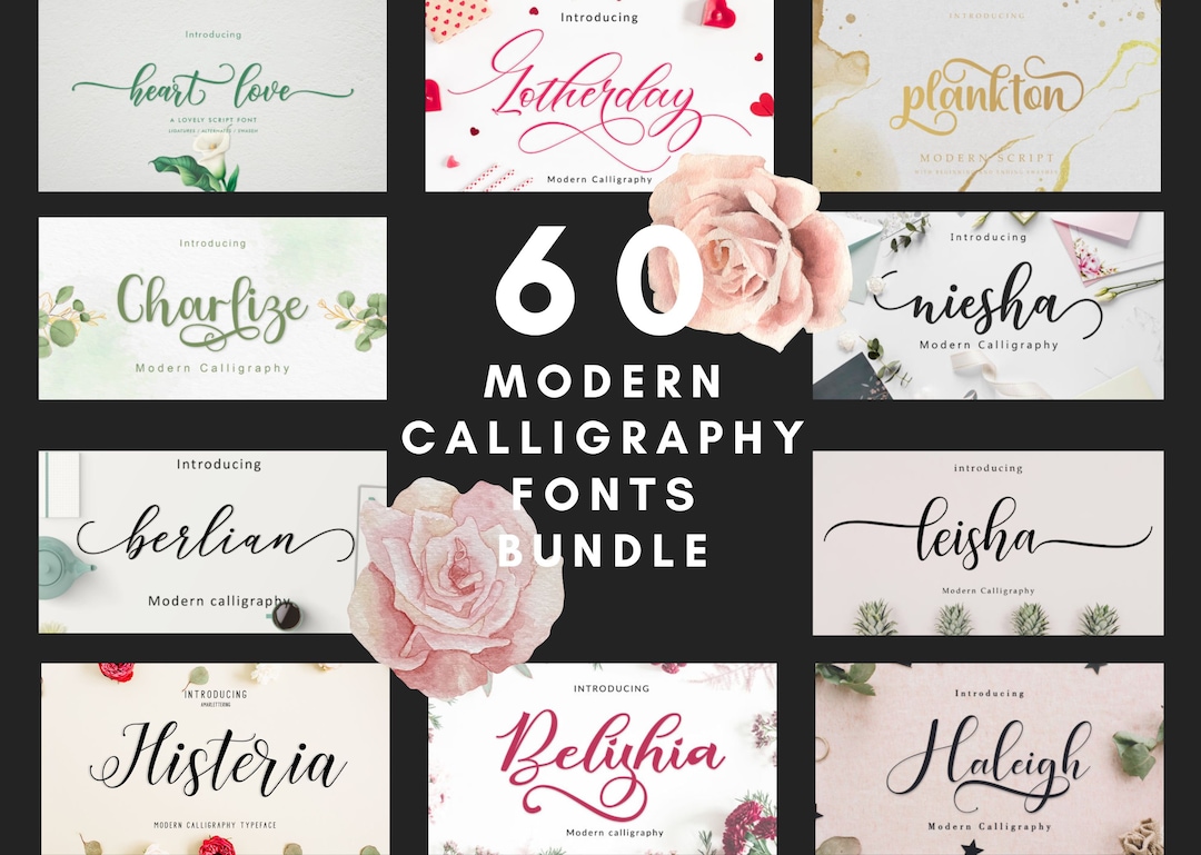 Modern Font Bundle - Calligraphy Fonts,cricut Fonts, Procreate Fonts ...