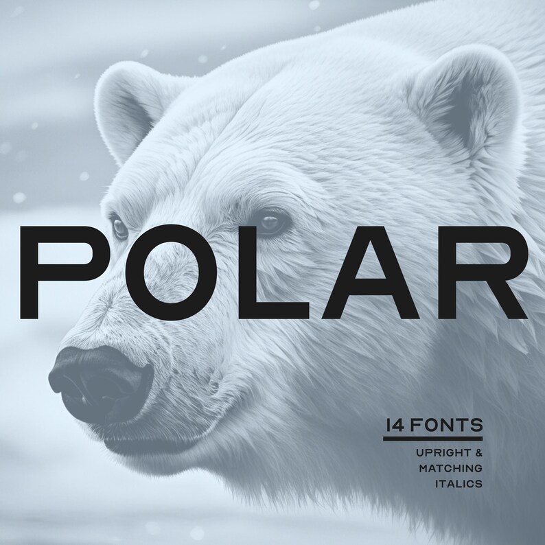Polar Font Collection: Modern Sans Serif Typeface for Branding & Logos ...