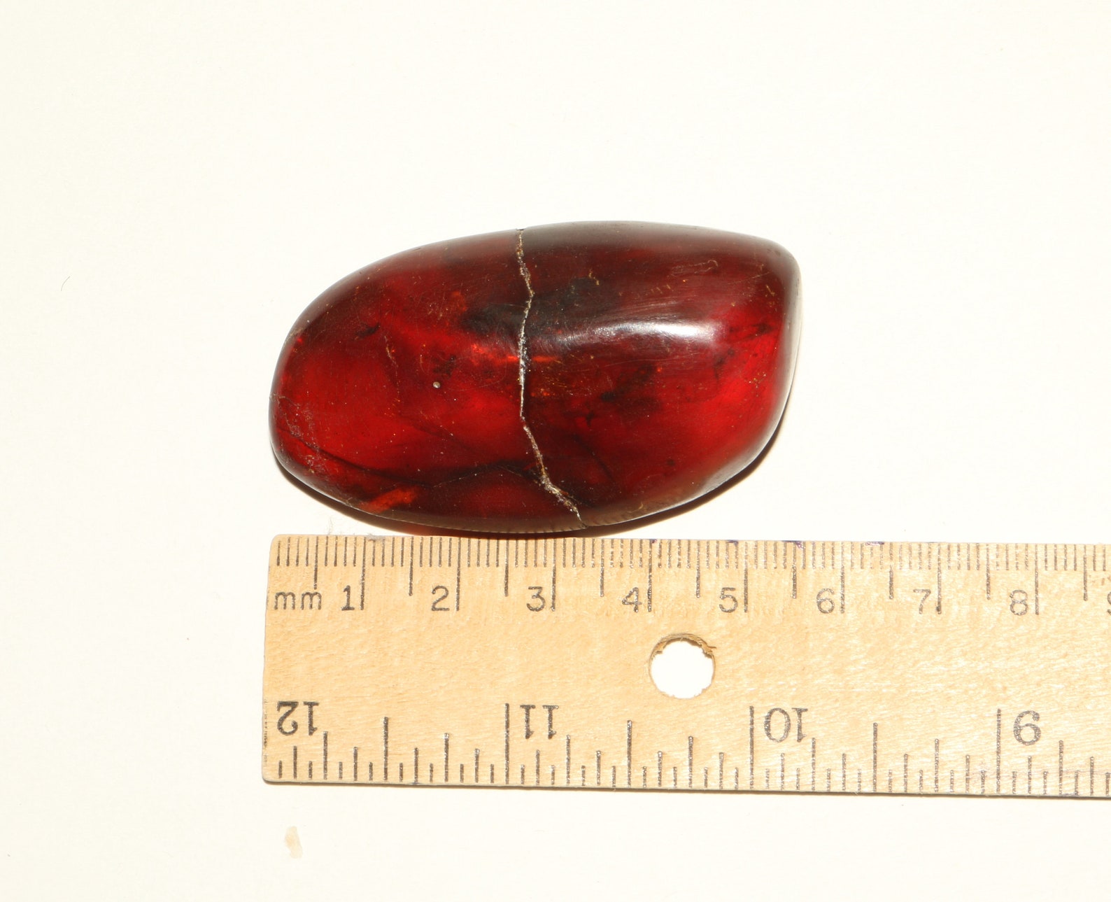 Natural Red Amber With Inclusion of Insect - Etsy