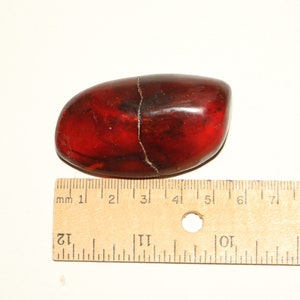 Natural Red Amber With Inclusion of Insect - Etsy