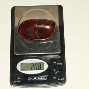 Natural Red Amber With Inclusion of Insect - Etsy