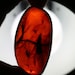 Natural Red Amber With Inclusion of Insect - Etsy