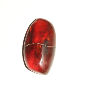Natural Red Amber With Inclusion of Insect - Etsy