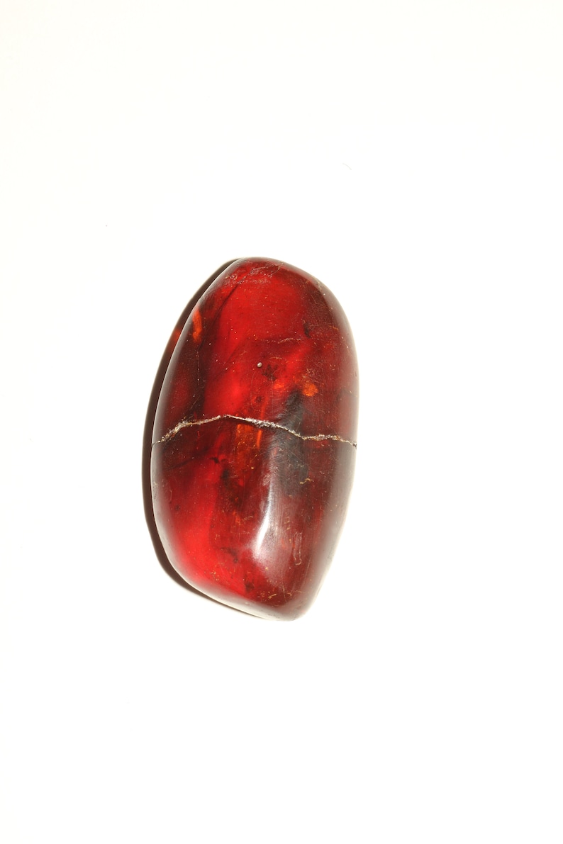Natural Red Amber With Inclusion of Insect - Etsy