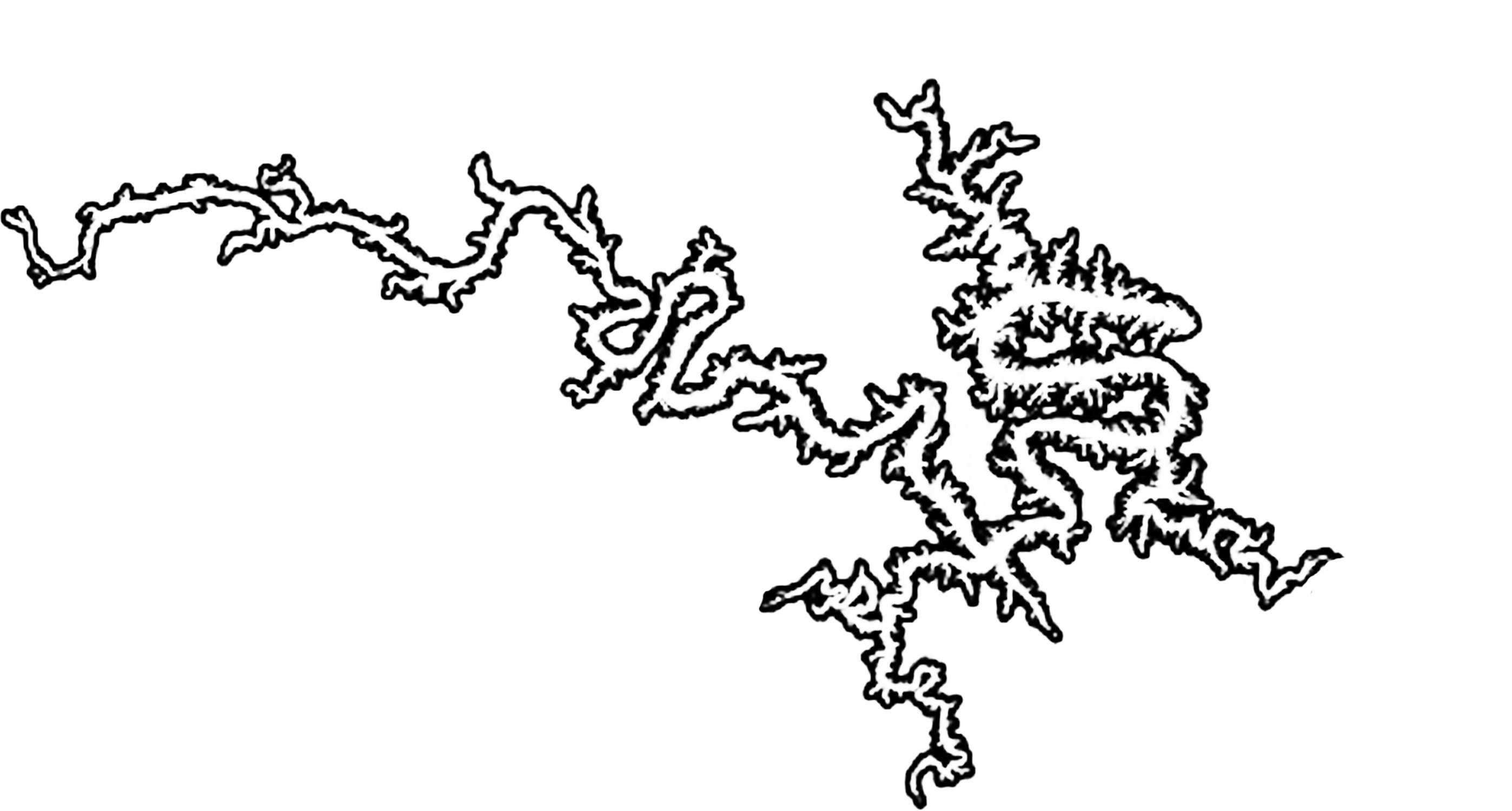 Lake of the Ozarks Coloring Page - Etsy