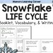 Snowflake Life Cycle Booklet and Worksheet - Etsy