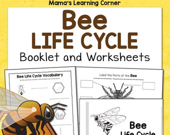 Bee Life Cycle Clip Art and Print - Etsy