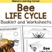 Bee Life Cycle Booklet and Worksheets - Etsy