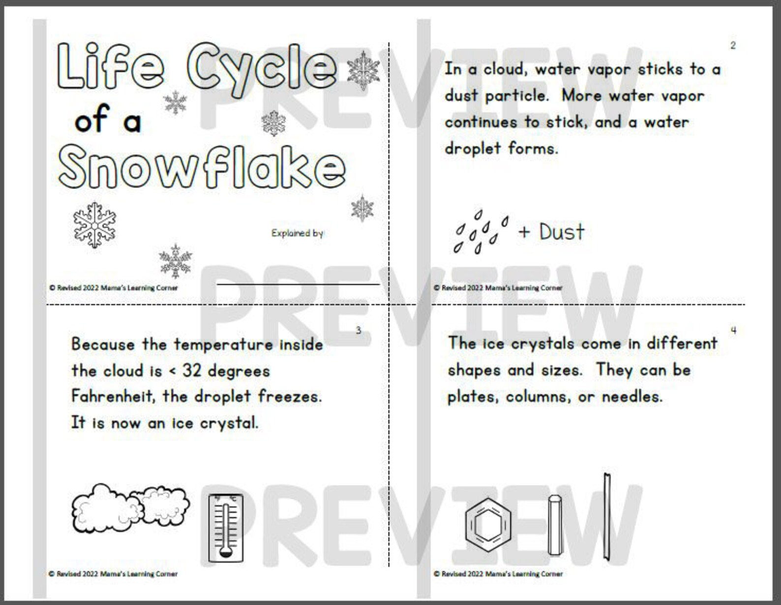 Snowflake Life Cycle Booklet and Worksheet - Etsy