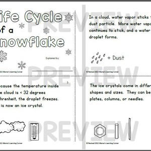 Snowflake Life Cycle Booklet and Worksheet - Etsy