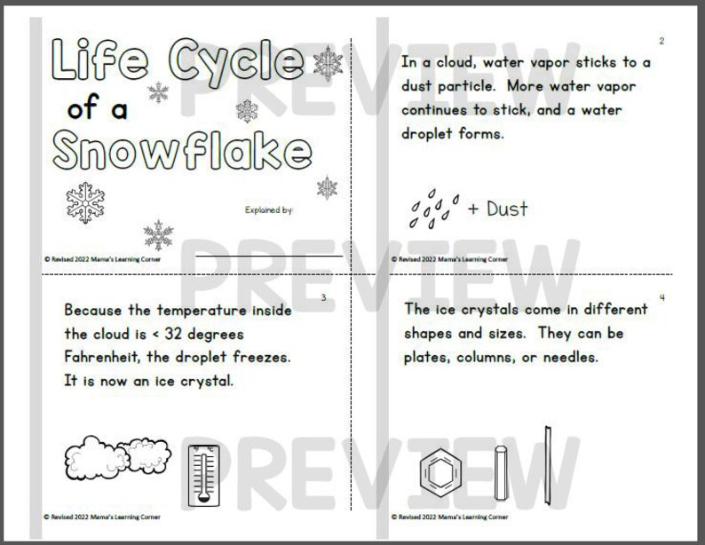 Snowflake Life Cycle Booklet and Worksheet - Etsy