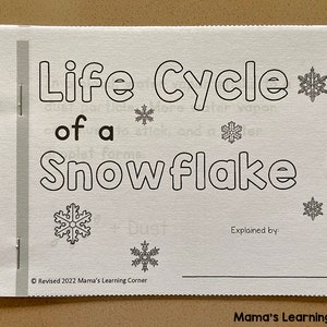 Snowflake Life Cycle Booklet and Worksheet - Etsy