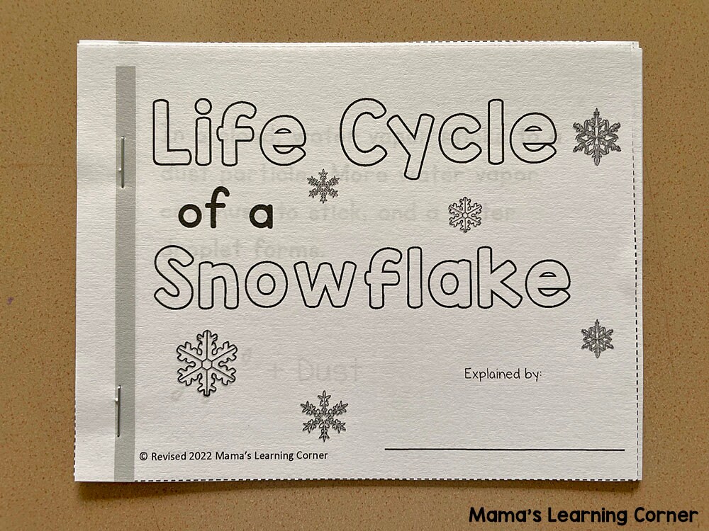 Snowflake Life Cycle Booklet and Worksheet - Etsy