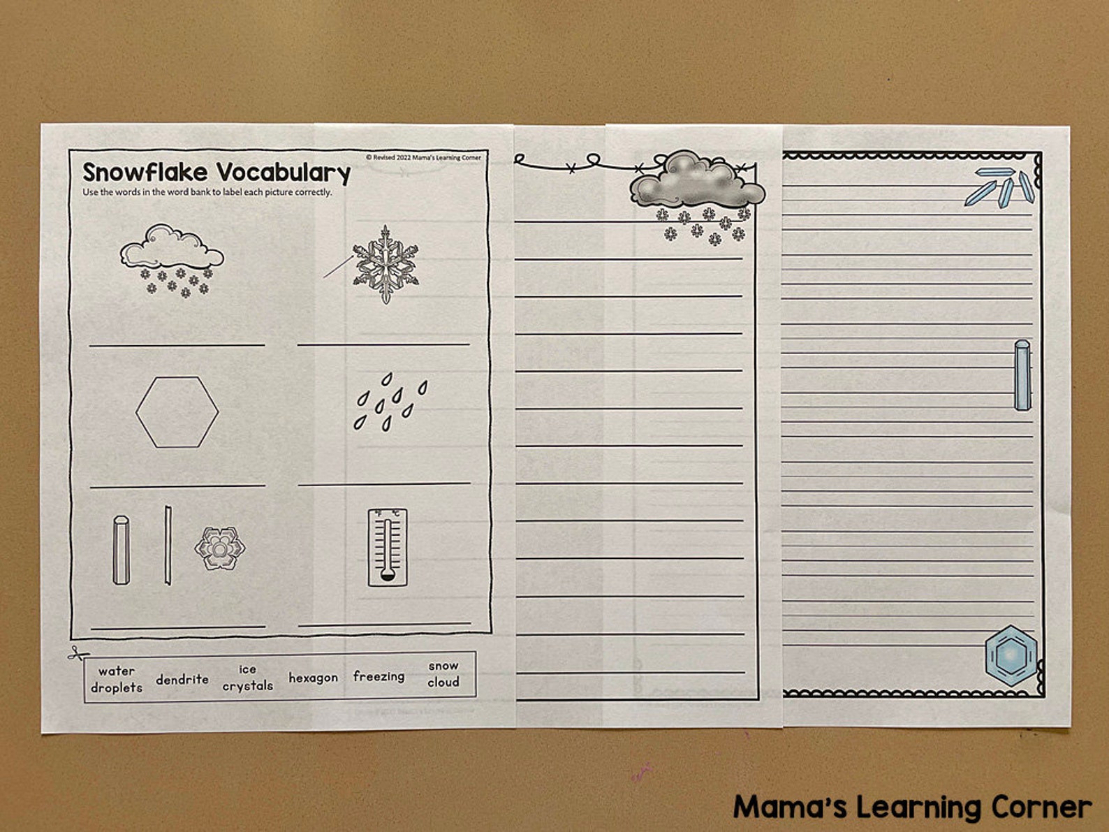 Snowflake Life Cycle Booklet and Worksheet - Etsy