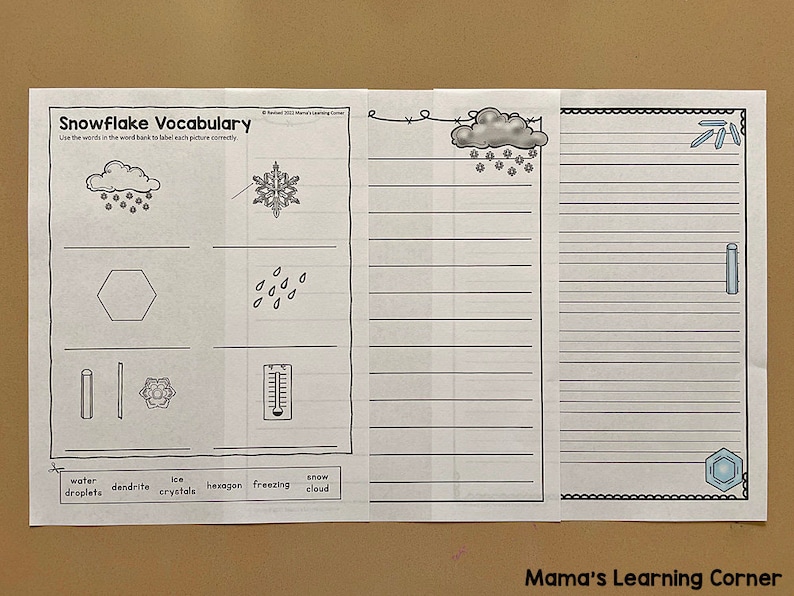 Snowflake Life Cycle Booklet and Worksheet - Etsy