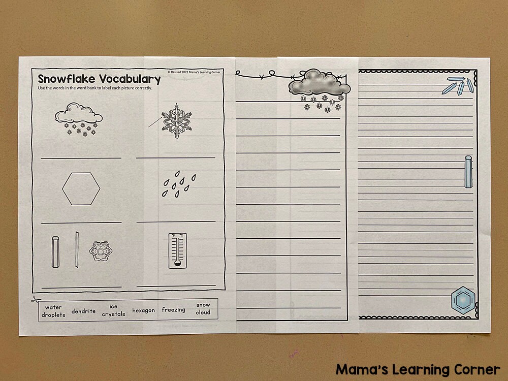 Snowflake Life Cycle Booklet and Worksheet - Etsy