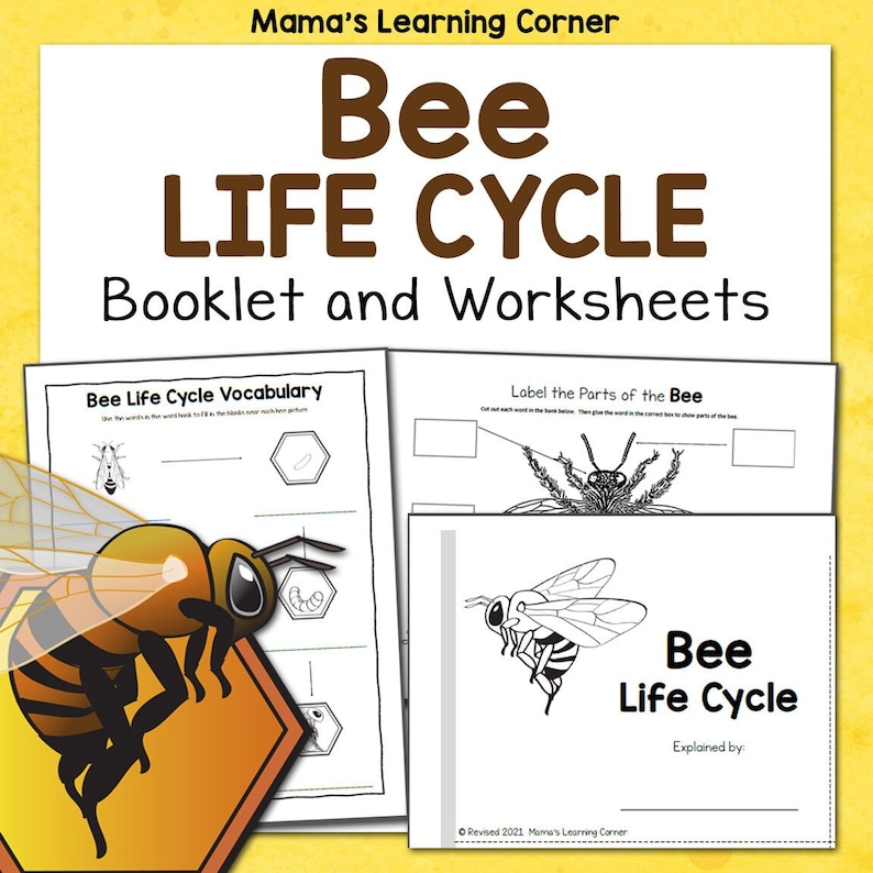 Bee Life Cycle Booklet and Worksheets - Etsy
