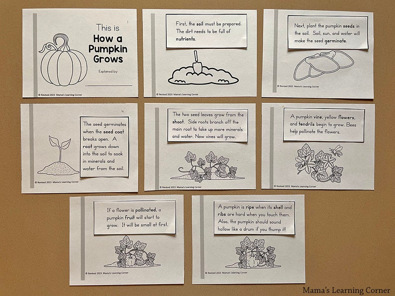 Pumpkin Life Cycle Booklet and Worksheets - Etsy