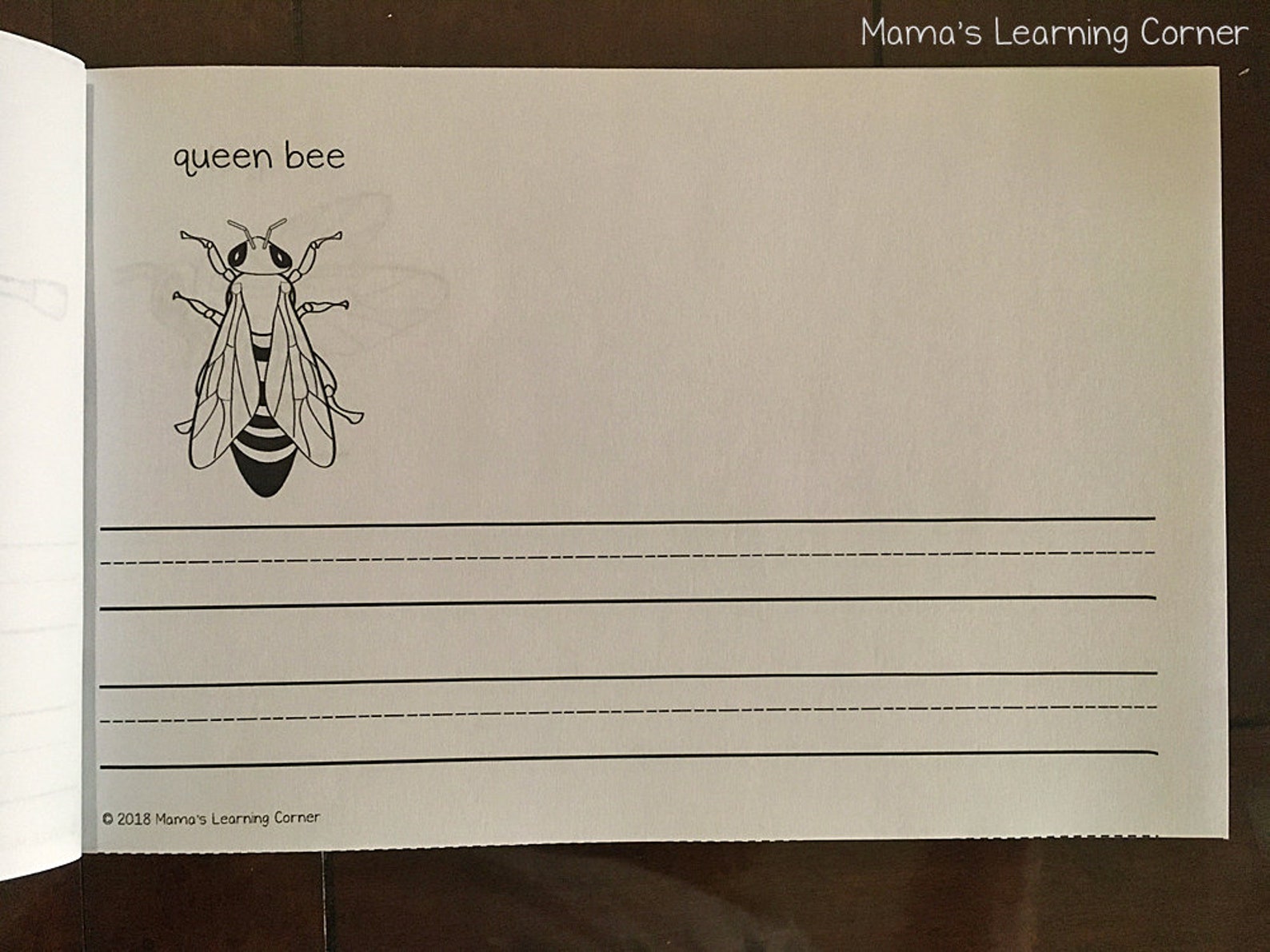 Bees Writing Booklet With Picture Dictionary - Etsy
