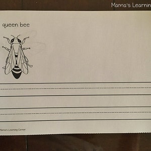 Bees Writing Booklet With Picture Dictionary - Etsy