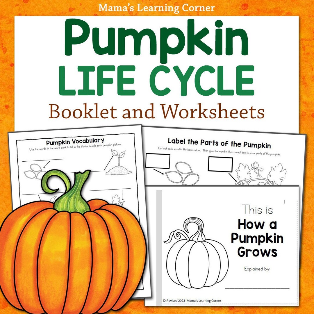 Pumpkin Life Cycle Booklet and Worksheets - Etsy