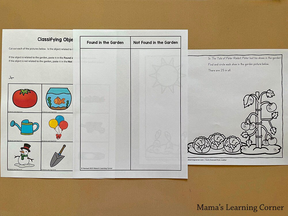 The Tale of Peter Rabbit Activities for Kindergarten and First Grade - Etsy