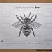 Bee Life Cycle Booklet and Worksheets - Etsy