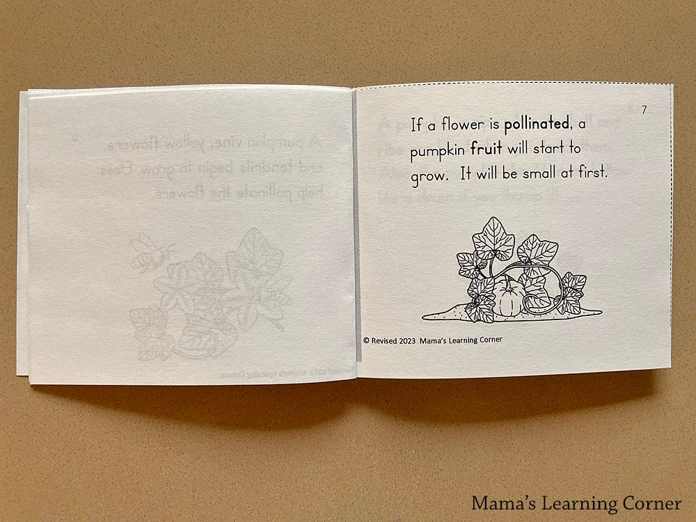 Pumpkin Life Cycle Booklet and Worksheets - Etsy