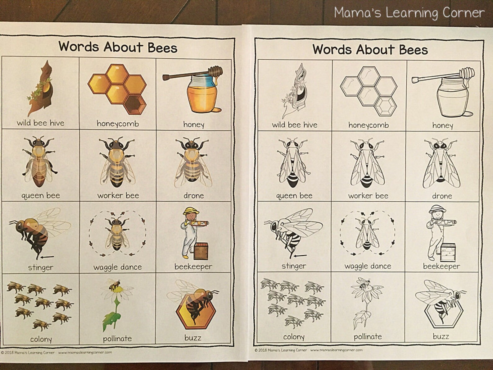 Bees Writing Booklet With Picture Dictionary - Etsy