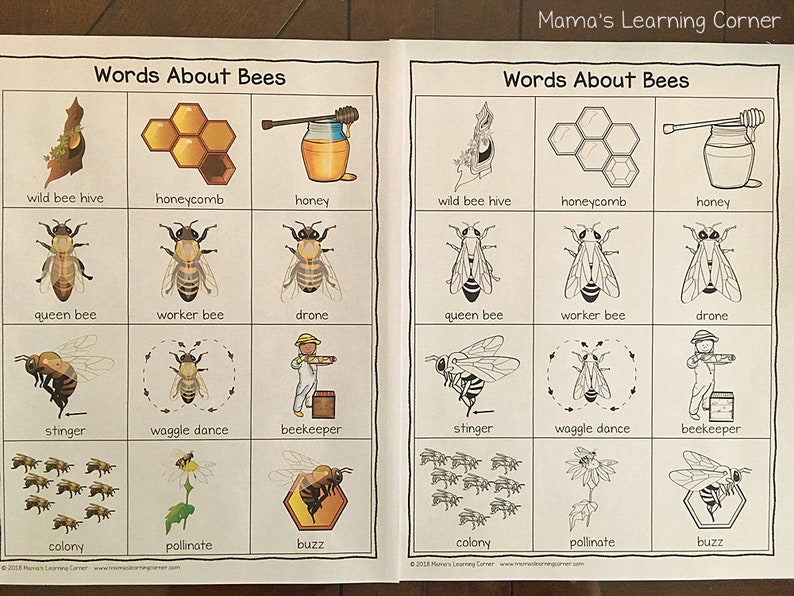 Bees Writing Booklet With Picture Dictionary - Etsy