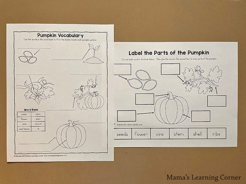Pumpkin Life Cycle Booklet and Worksheets - Etsy