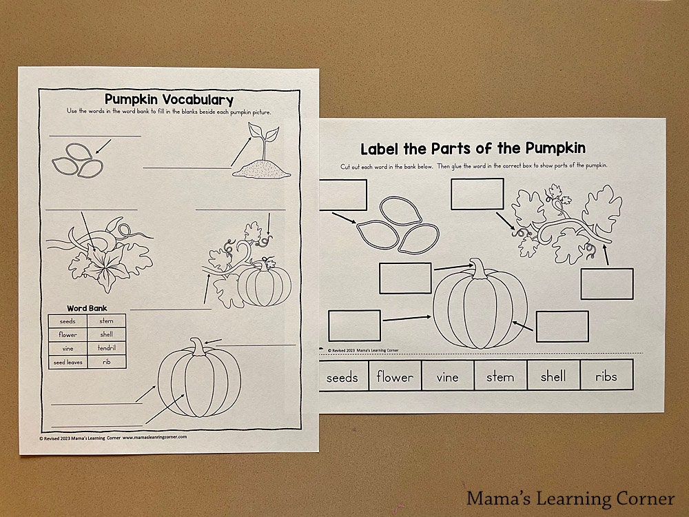 Pumpkin Life Cycle Booklet and Worksheets - Etsy