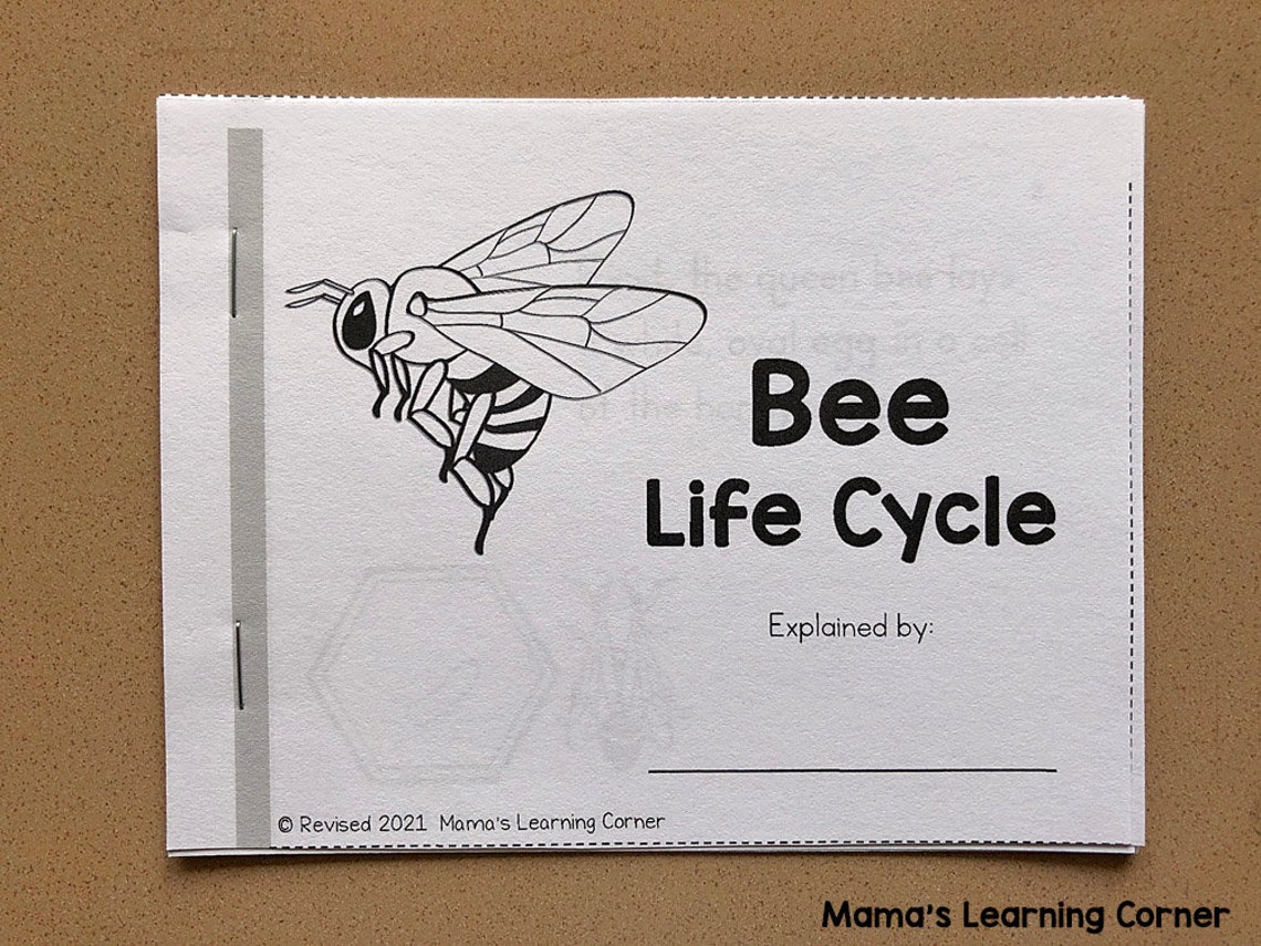 Bee Life Cycle Booklet and Worksheets - Etsy