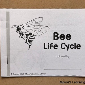 Bee Life Cycle Booklet and Worksheets - Etsy