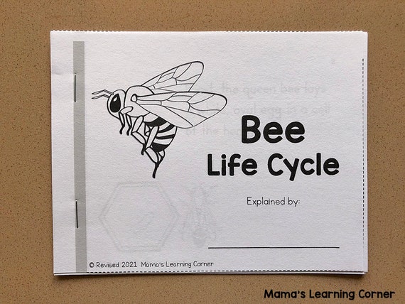 Hojas De Trabajo Sobre Abejas Para Primer Grado