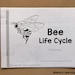 Bee Life Cycle Booklet and Worksheets - Etsy