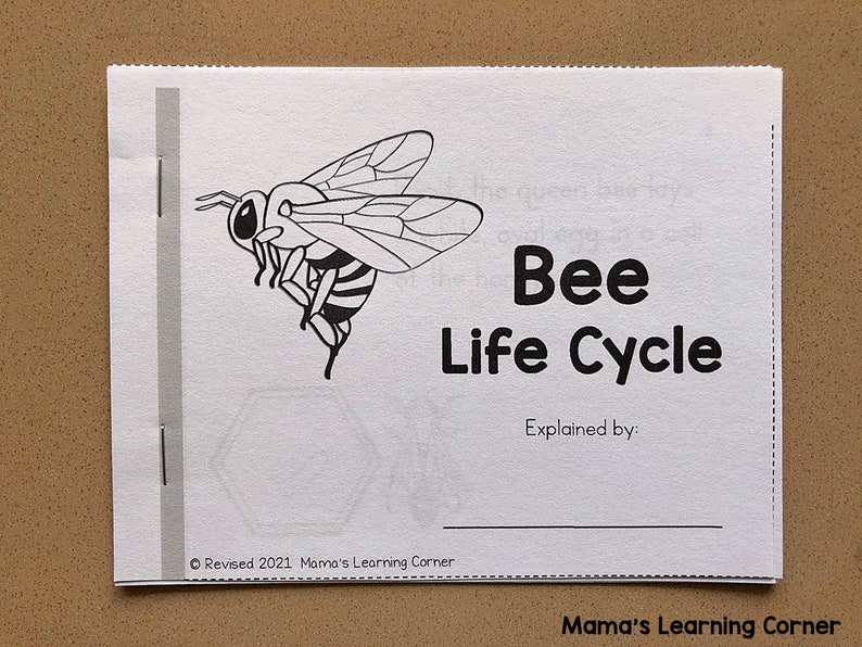 Bee Life Cycle Booklet and Worksheets - Etsy