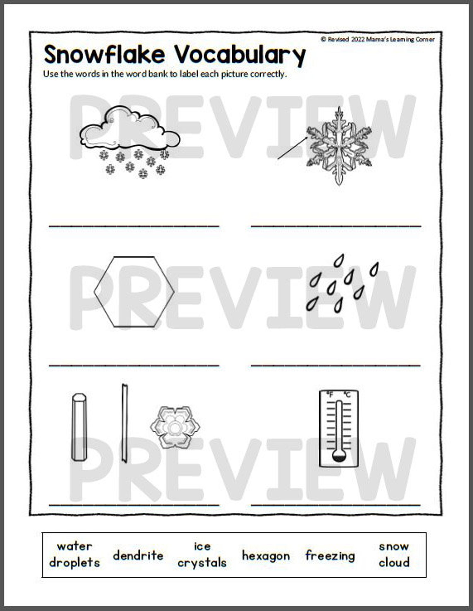 Snowflake Life Cycle Booklet and Worksheet - Etsy