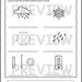 Snowflake Life Cycle Booklet and Worksheet - Etsy