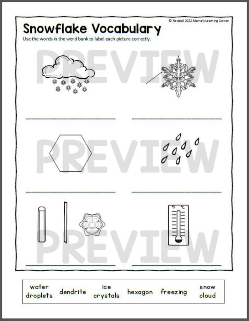 Snowflake Life Cycle Booklet and Worksheet - Etsy