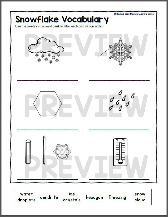Snowflake Life Cycle Booklet and Worksheet - Etsy
