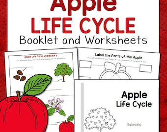 Life Cycle of an Apple Tree Foldable Activity for Kids Printable | A4 ...