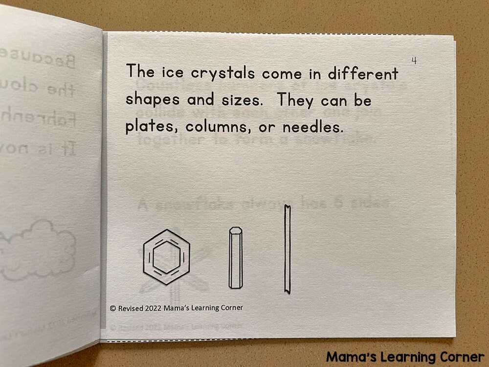 Snowflake Life Cycle Booklet and Worksheet - Etsy