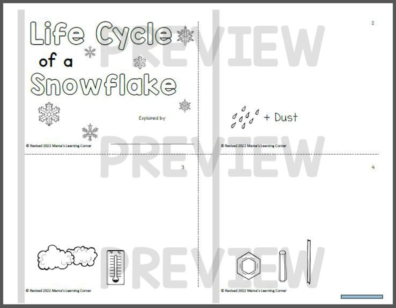 Snowflake Life Cycle Booklet and Worksheet - Etsy
