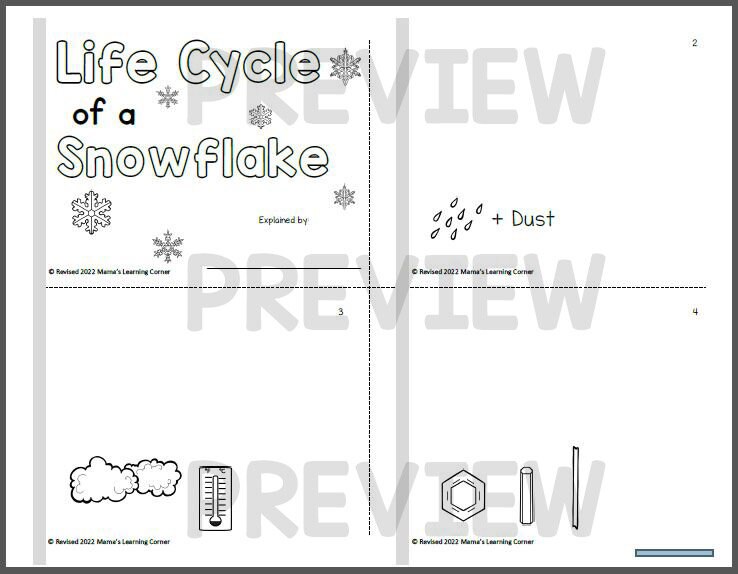 Snowflake Life Cycle Booklet and Worksheet - Etsy