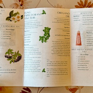 Herbal Apothecary DIY Kit for Beginners Make Your Own Herbal Tea ...
