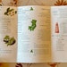 Herbal Apothecary DIY Kit for Beginners Make Your Own Herbal Tea ...